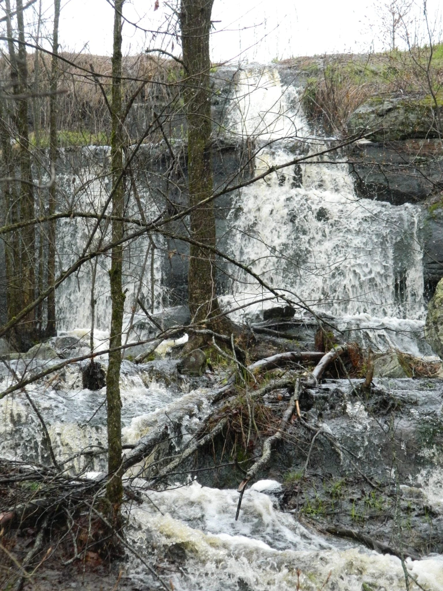 Photo Gallery – Township of Addington Highlands