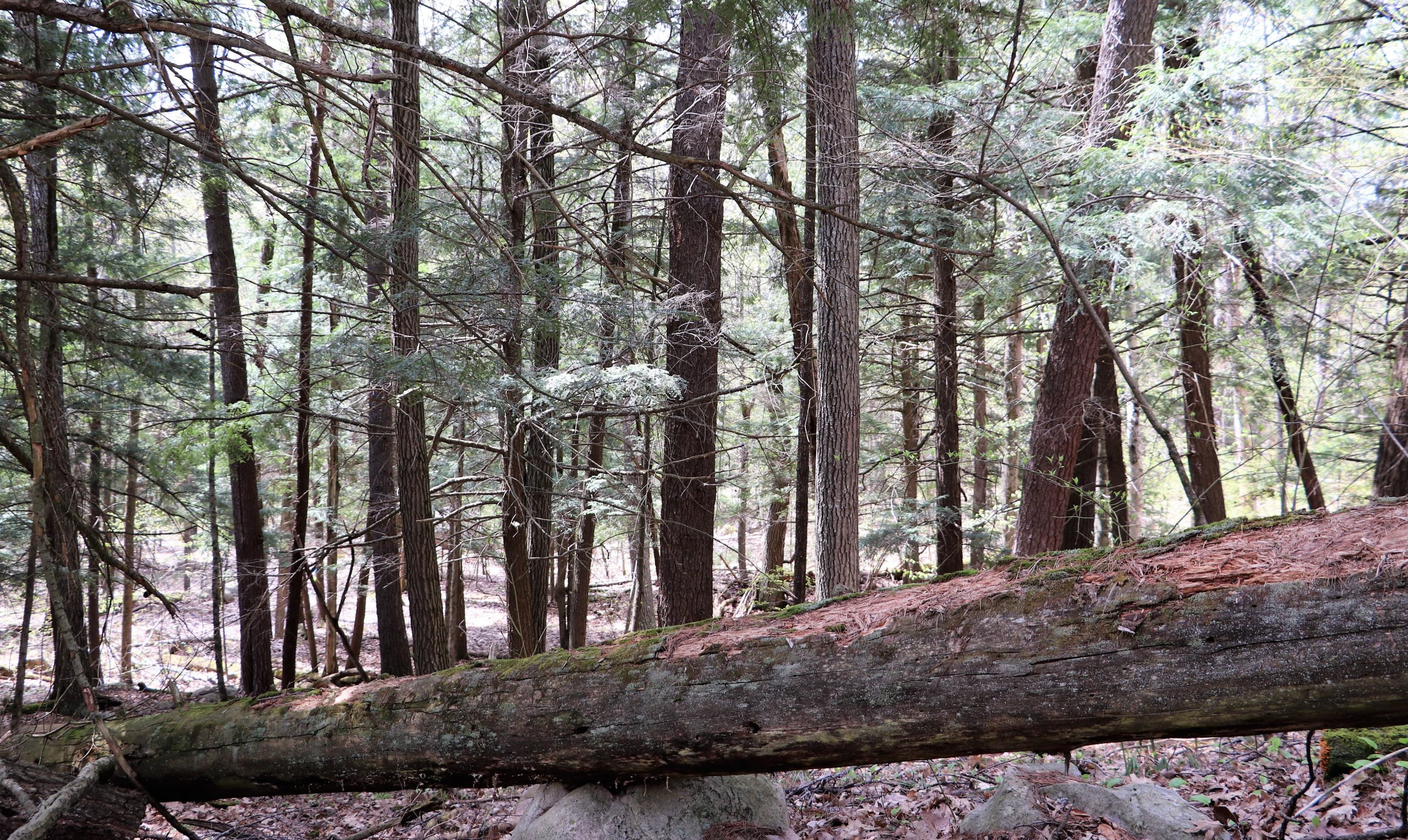 Photo Gallery – Township of Addington Highlands