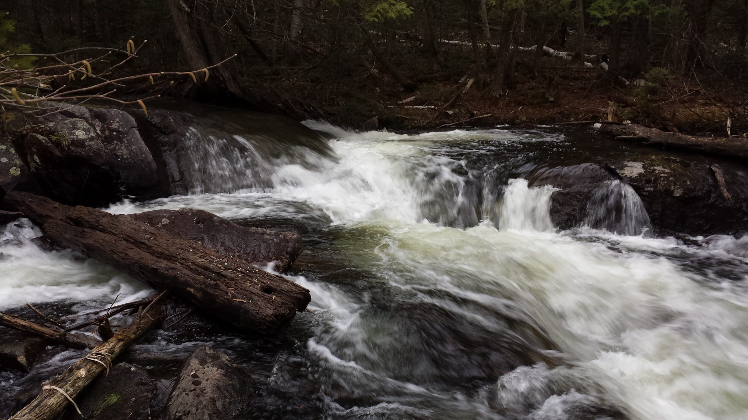 Township of Addington Highlands